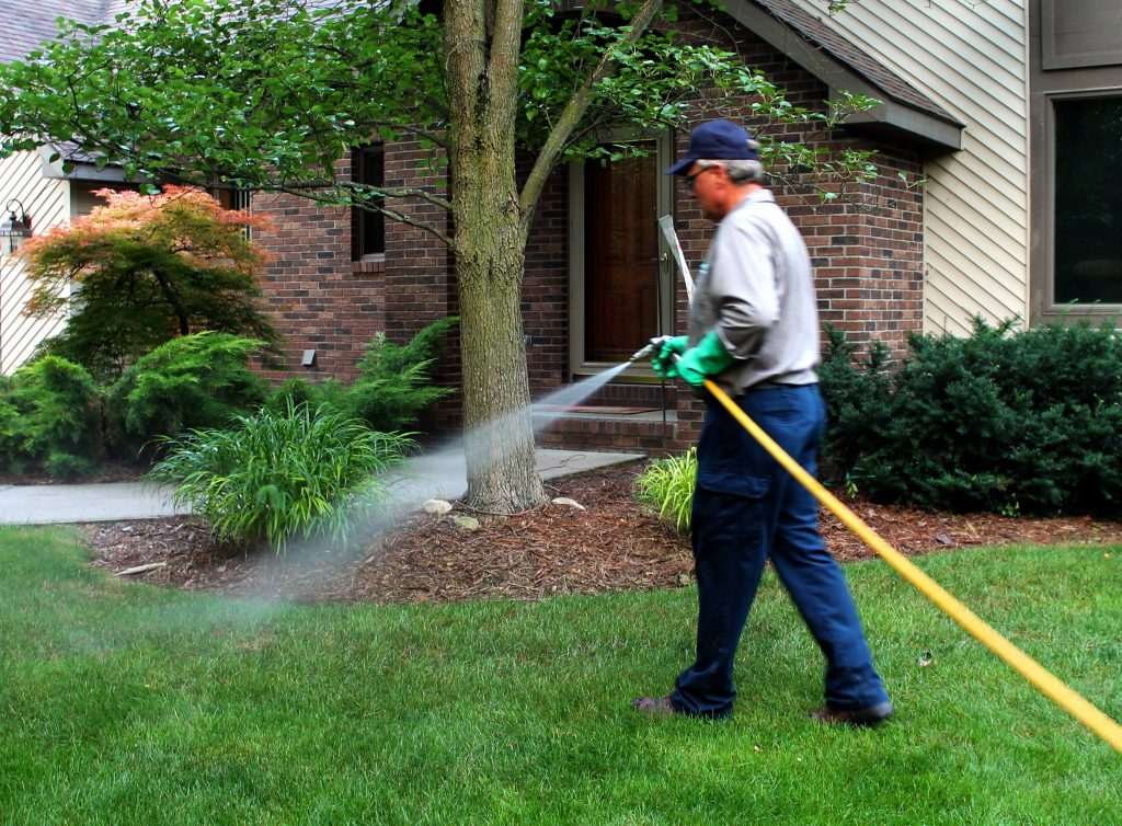 Lawn Care Services Near Me | Lawn Maintenance Services | Lawn Mowing